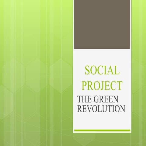 CLASS 9TH Social project ( the green revolution) | PPTX