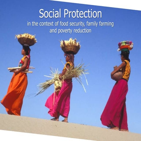Social Protection in the context of food security, family farming and ...