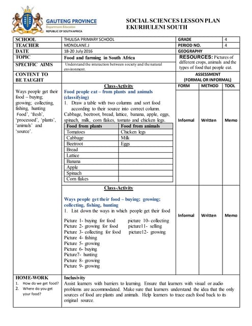 Social sciences lesson plan term 4 geograpghy | DOCX