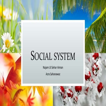 Social system | PPTX