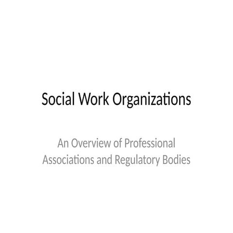 Social_Work_Organizations_Presentation.pptx