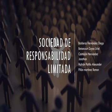 Sociedad de Responsabilidad Limitada.pptx