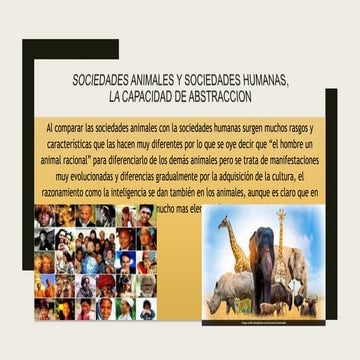 SOCIEDADES ANIMALES Y SOCIEDADES HUMANAS syc (3).pptx