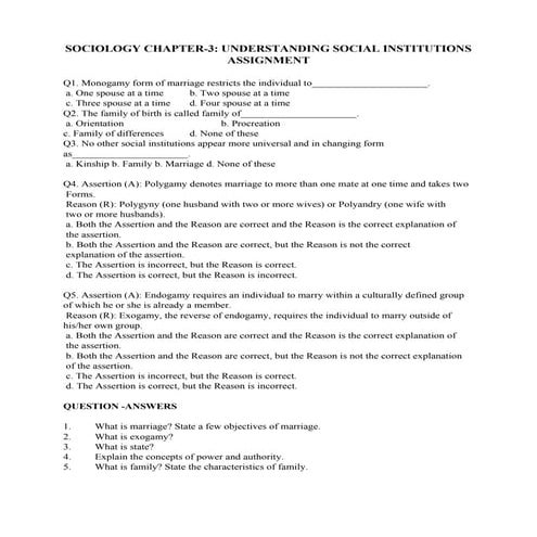 Socio. L.3 XI- Understanding Social Institutions (Assignment).docx