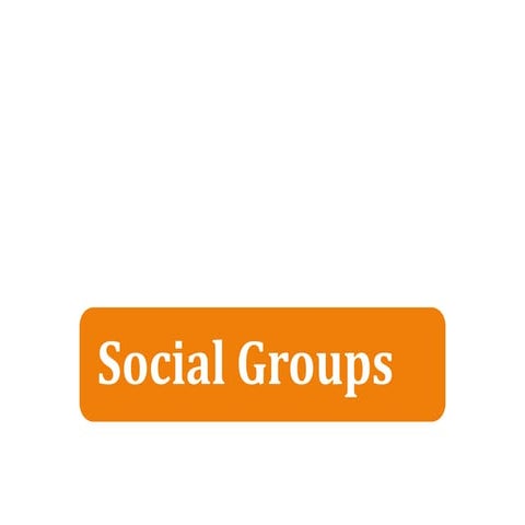 Sociology 13 social groups | PPTX