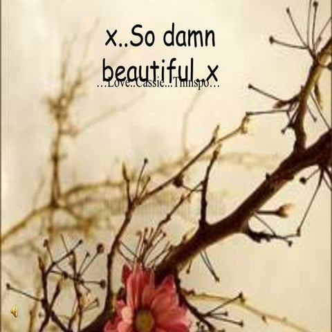 So damn beautiful..x | PPTX