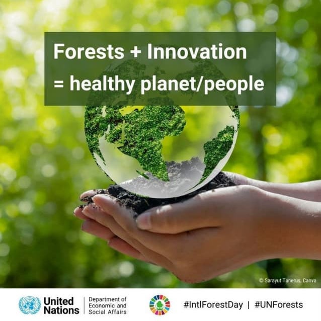 Healthy forests + healthy planet + people. | PDF