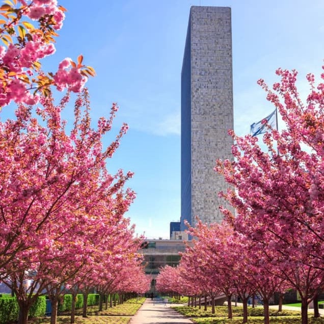 Happy International Delegates Day 2024; April 25th | PDF