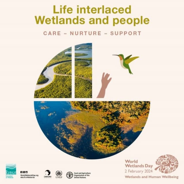 LIFE INTERLACED - WETLANDS AND PEOPLE. | PDF