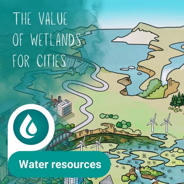 THE VALUE OF WETLANDS FOR CITIES. | PDF