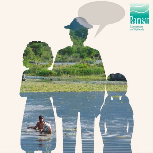 WETLANDS AND HUMAN WELL-BEING | PDF