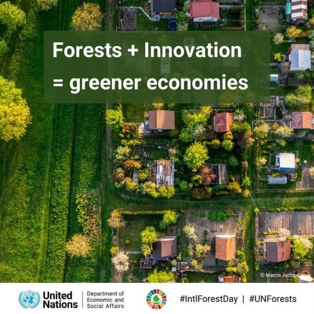 Forests + Innovation = Greener economies. | PPT