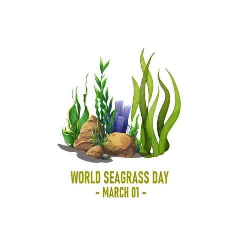 March 1st is World Seagrass Day. Let's restore seagrasses! | PDF