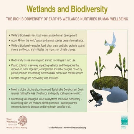 WETLANDS AND BIODIVERSITY | PDF