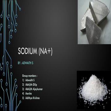 Sodium - Seminar copy for biochemistry and | PPTX