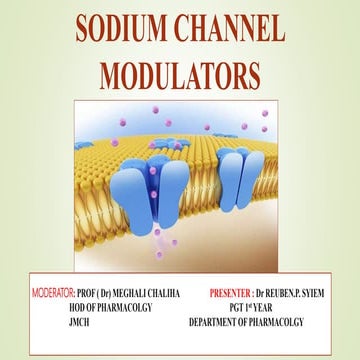Sodium channel modulator | PPTX