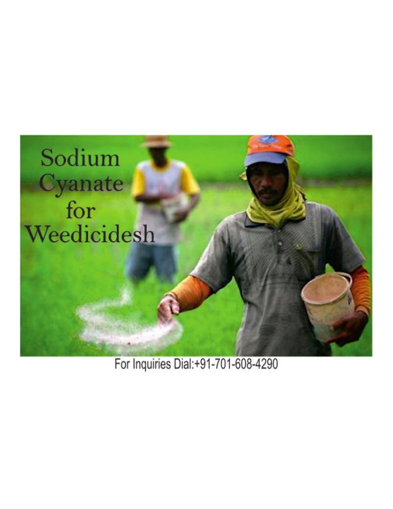 Sodium Cynate and Potassium Cyanate Supplier - Alaska zyanate