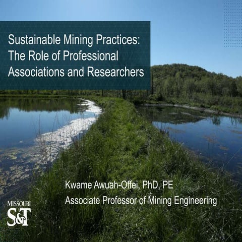 Sustainable Mining Practices: The Role of Professional Associations and ...