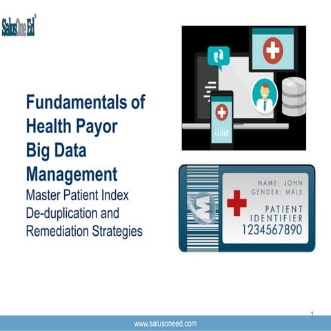 Fundamentals of Health Insurance Big Data Management: Master Patient ...