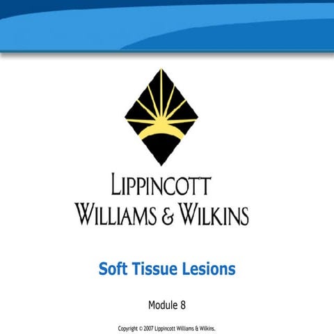 Common Referred Pain Patterns – Low Back | PDF