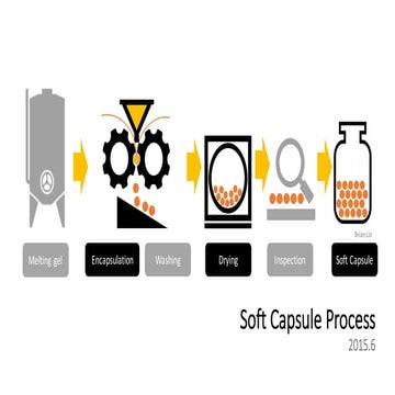 Soft capsule process | PPT