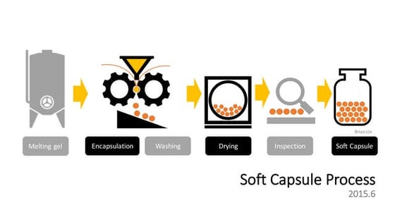 Capsule Manufacturing Process | PPT