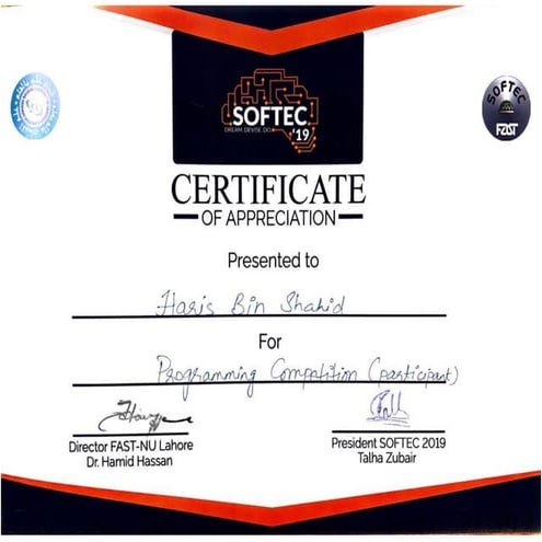 SOFTEC'19 Programming Competition Certificate | PDF