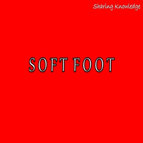 Soft foot | PPTX