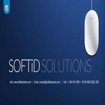 SOFTiD SOLUTIONS Pvt Ltd - company profile | PDF