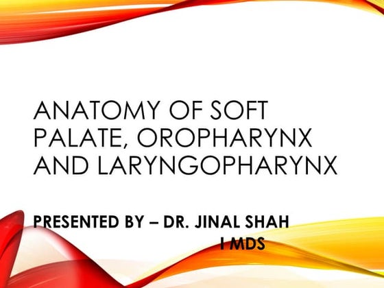 Hard and soft palate | PPTX