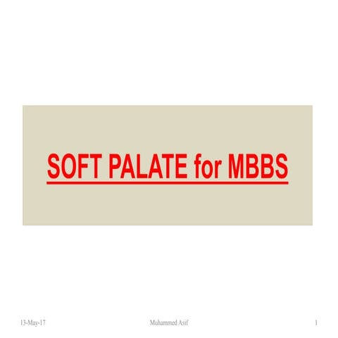 Soft palate for MBBS | PDF