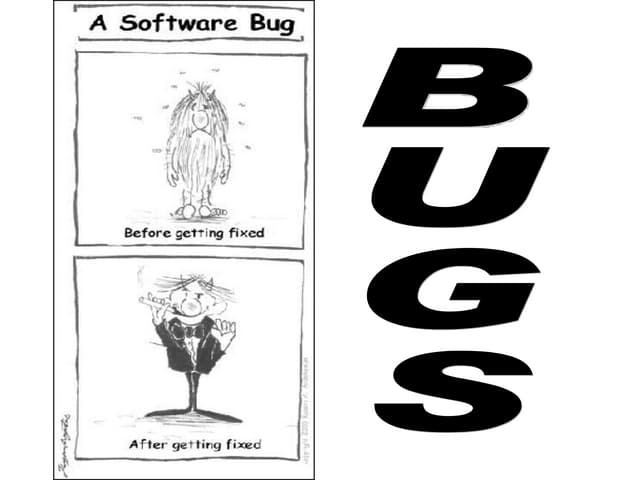 Software Bug Funny