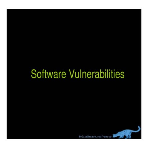Software Vulnerabilities | PDF