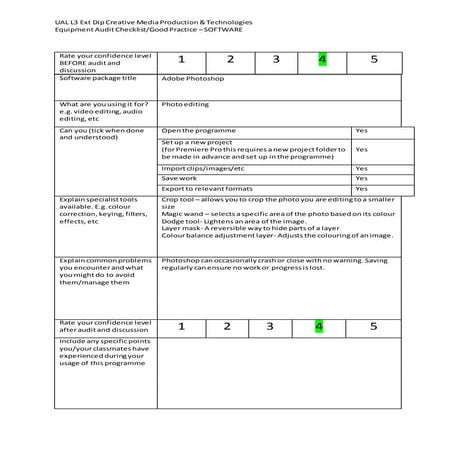 Audit Form | DOCX