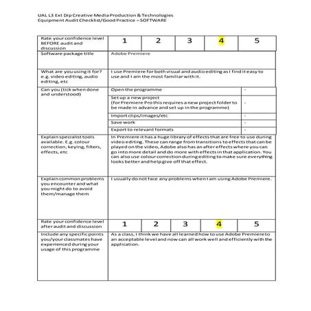 Software audit form blank | PDF