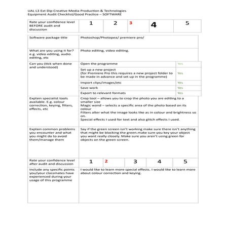 Software audit form blank(1)