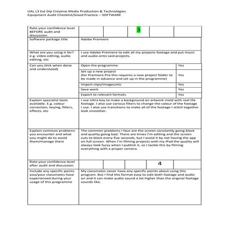 Software Audit Form Blank.docx