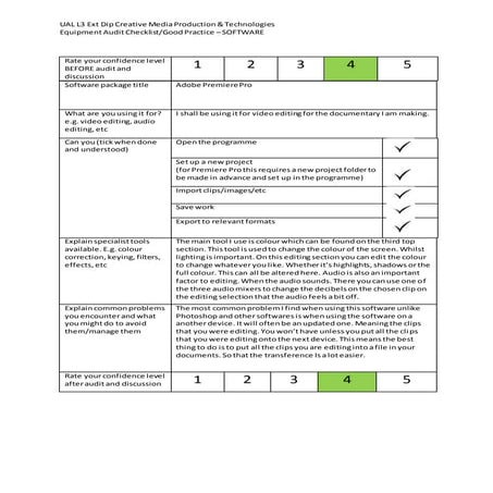 Software audit form blank | DOCX