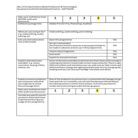 Software audit form blank(1) | PDF