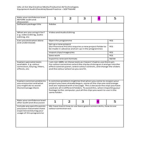 Software audit form blank(1) | PDF