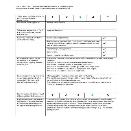 Software Audit - Photoshop | PDF