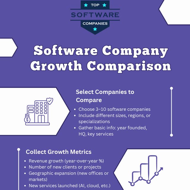 software company growth comparison Infographic.pdf
