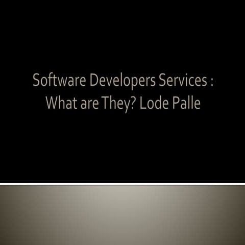Software Developers Services What are They Lode Palle.pptx
