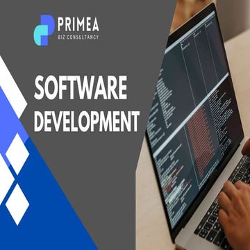 Primea Biz Consultant: Streamlining Software Downloads | PPTX
