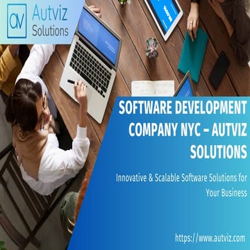 Software Development Company Nyc Pdf