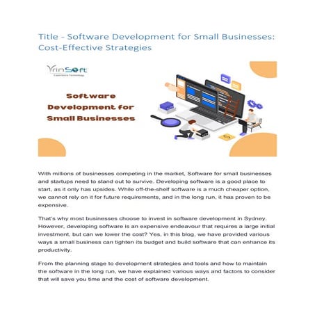 Software Development for Small Businesses.pdf