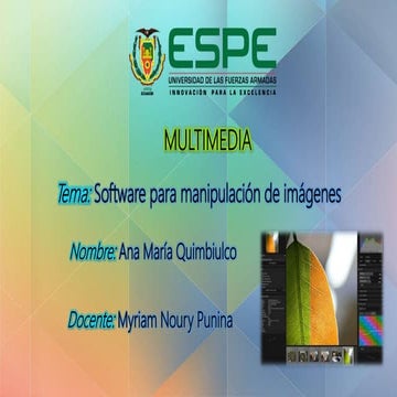 Software para Manipulación de imagen | PPTX