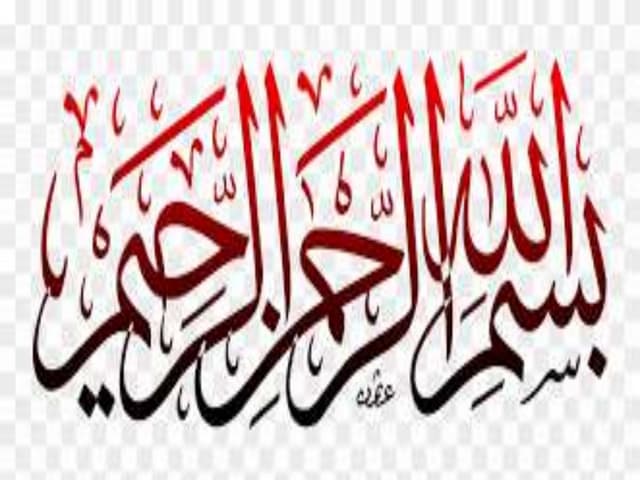 Computer Software & its Types | PPTX