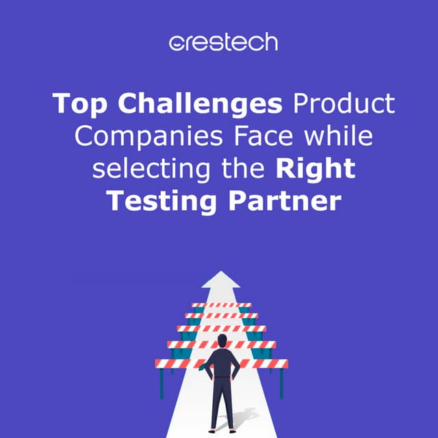 Software Testing Agency Software Testing Company Pdf