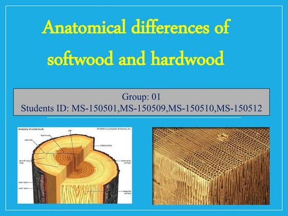 Anisotropic nature of wood | PPTX